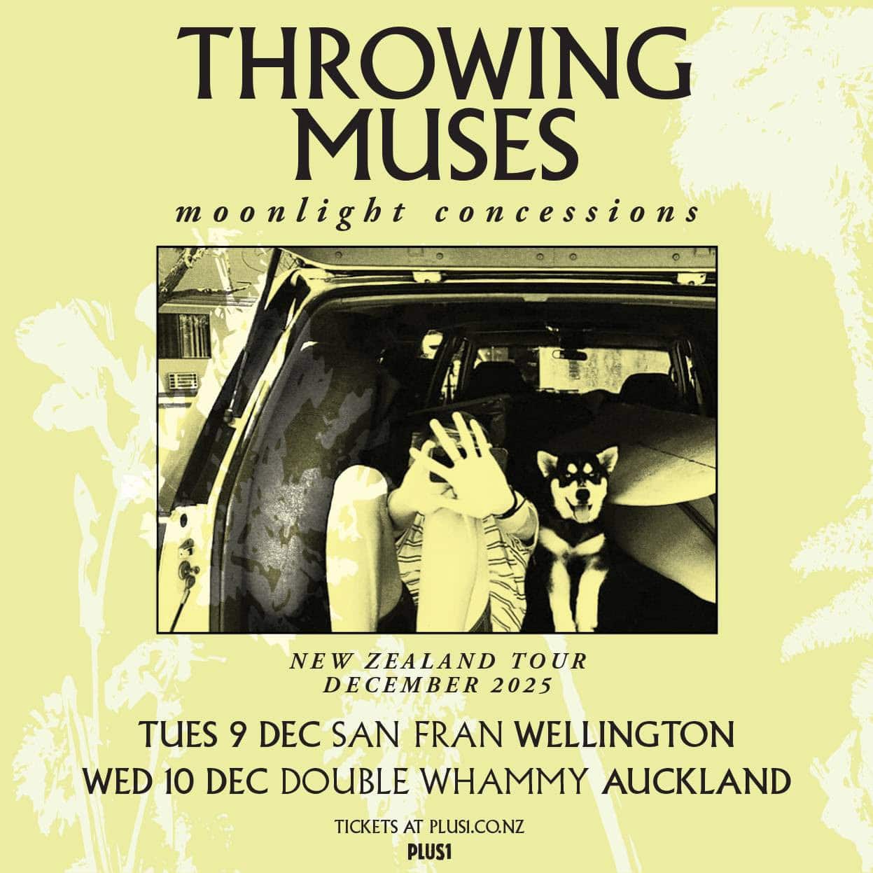 THROWING MUSES Announce First NZ Tour In 31 Years!